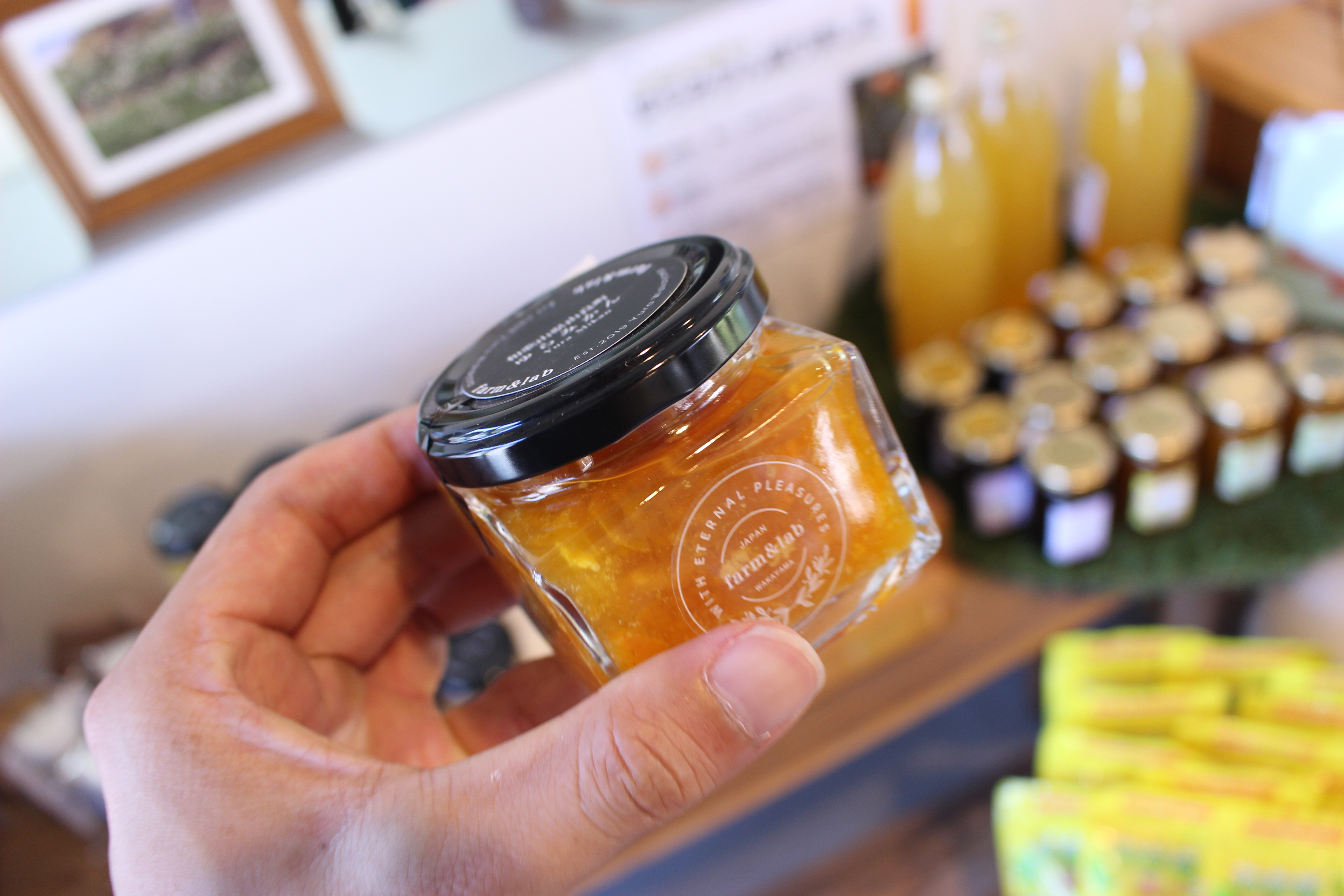 fam＆lab 和歌山産ジャム | 紀中を巡るHidaka History